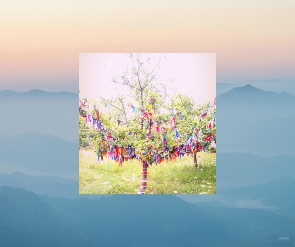 Grieving Tree - Healing Ash